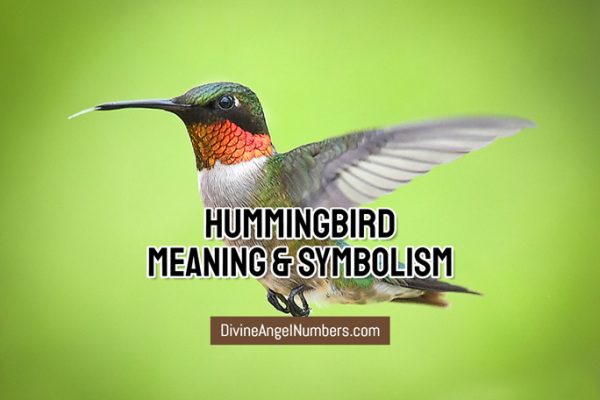 Signs: Meaning & Symbolism Explained by Naomi Hills